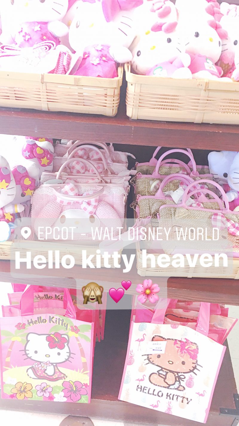 My Pretty & Pink Walt Disney World Adventures - J'adore Lexie Couture